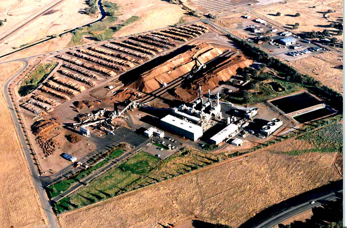 About Biomass - California Biomass Energy Alliance : California Biomass ...